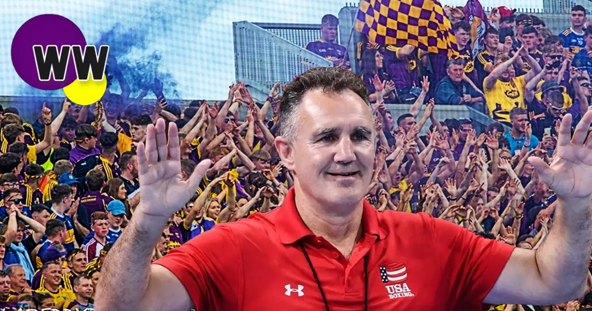 Listen: Wexford legend Billy Walsh features on new podcast where he ...