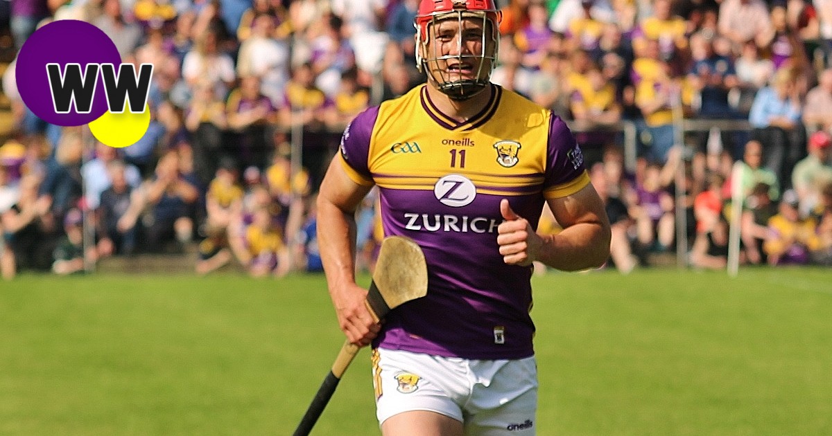 Two Wexford hurlers named on GAA’s Hurling Team of the Week | Wexford ...