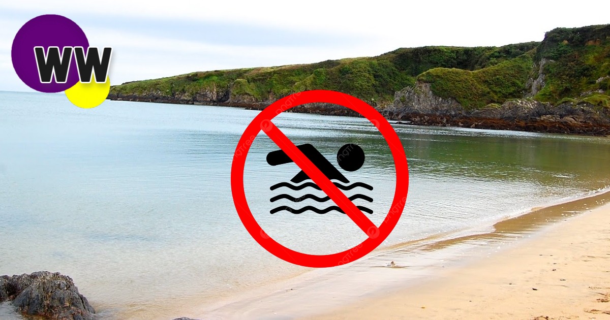Do not swim notice placed on popular Wexford beach | Wexford Weekly