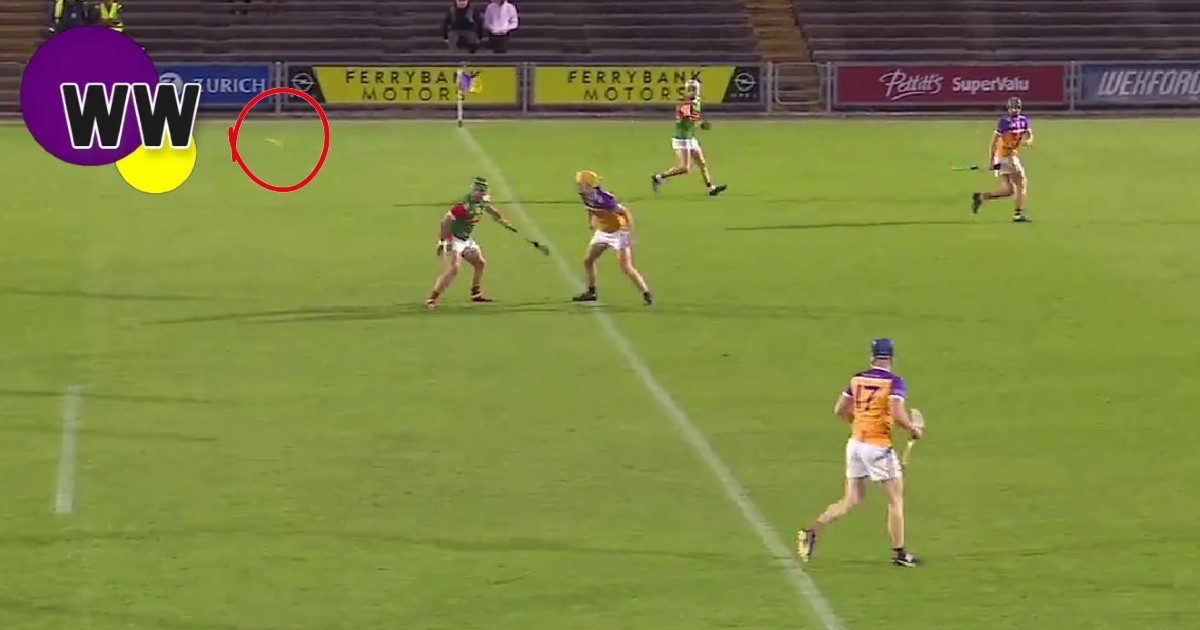 Watch: Wexford hurler produces magical hand-pass to set up point for ...