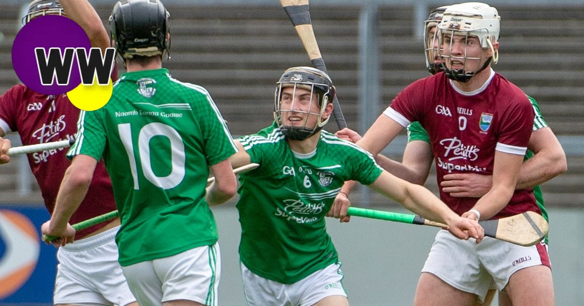 First-half domination helps to see St Martins through to the Wexford ...