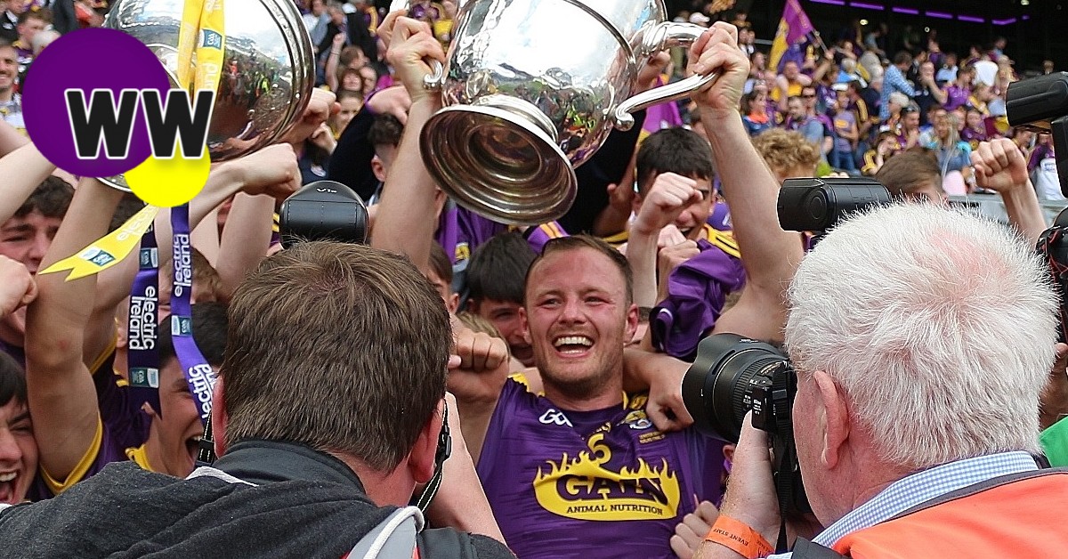 Former Wexford hurler Matt O’Hanlon names best player he has ever ...