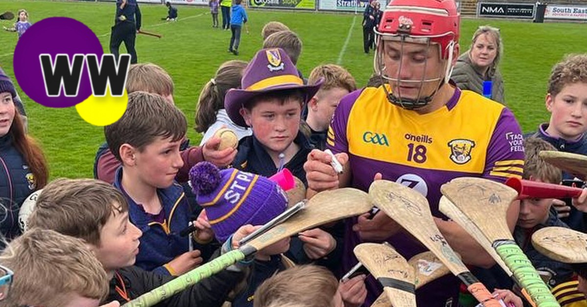 Three Wexford hurlers named on GAA.ie Team of the Week | Wexford Weekly