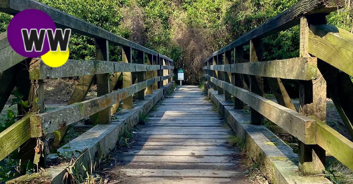Spike Bridge reopens in Wexford despite safety concerns | Wexford Weekly