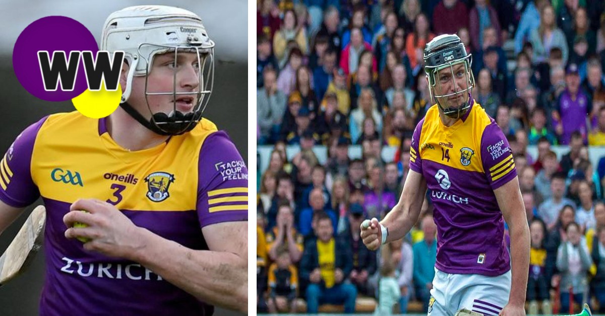 Wexford selector provides injury update on three Wexford hurlers ...