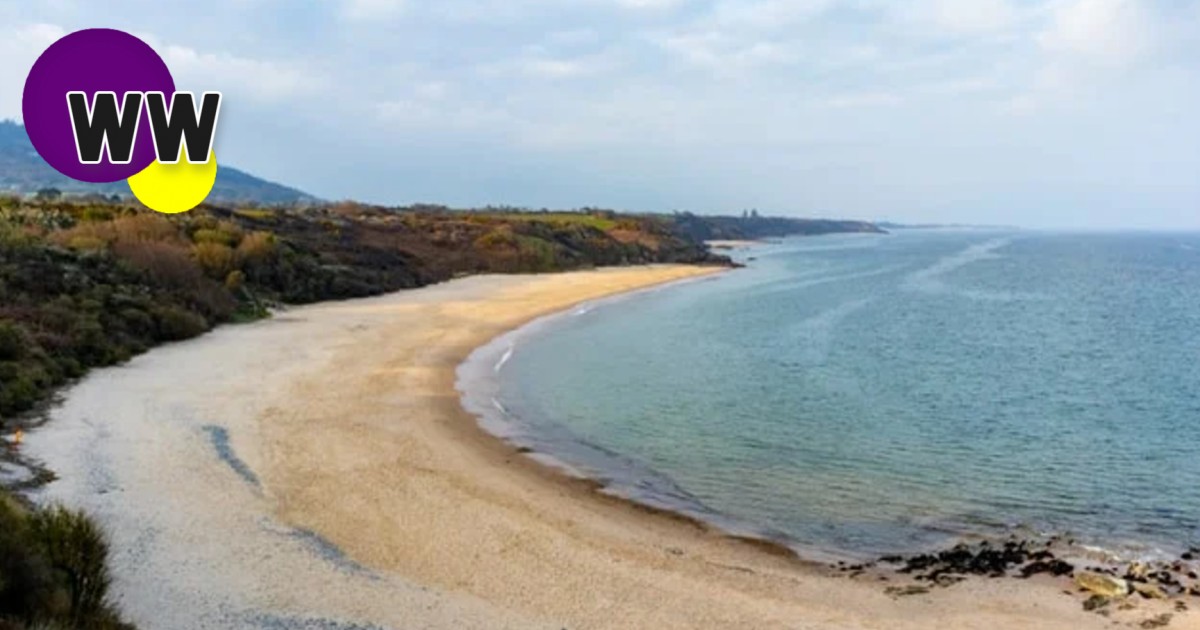 Popular Wexford beach issued with ‘Do Not Swim’ notice | Wexford Weekly