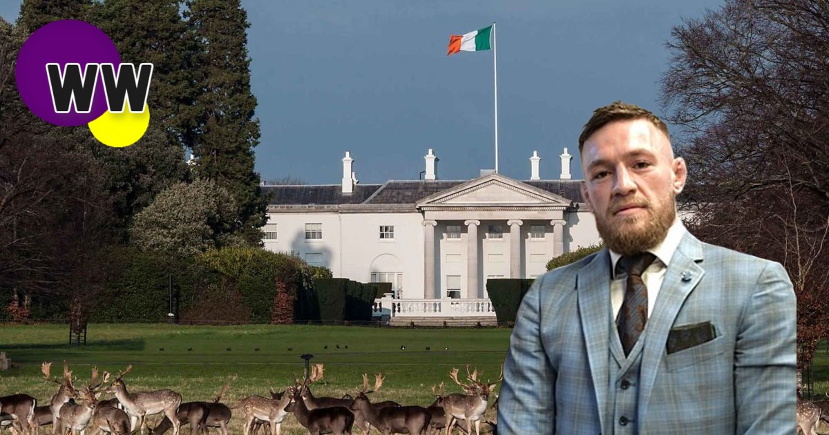 Wexford County Councillor to refuse to listen to Conor McGregor’s ...