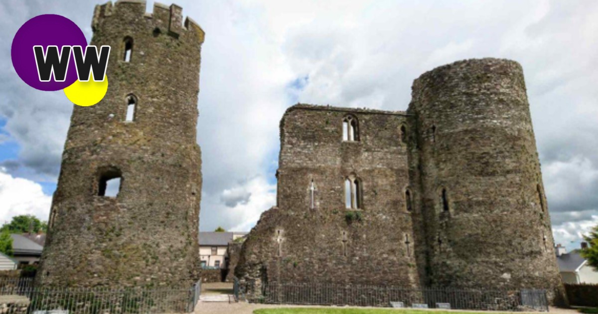 The Medieval Capital of Leinster: Investigating the history of Ferns ...