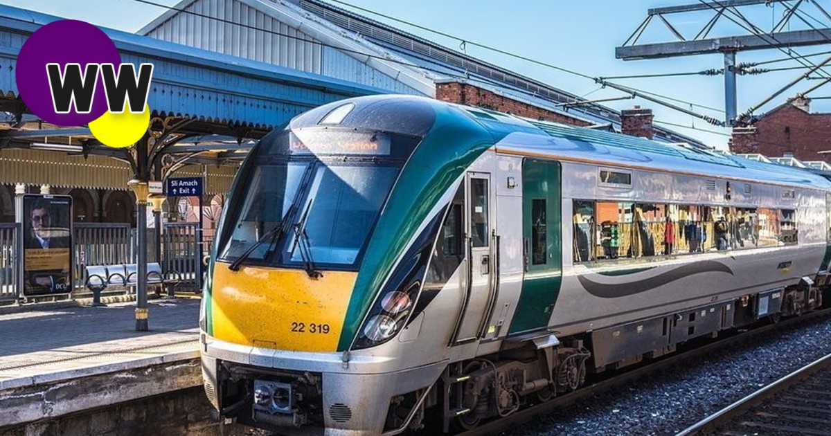 Commuter raises concerns as two passengers faint on Wexford-Wicklow ...