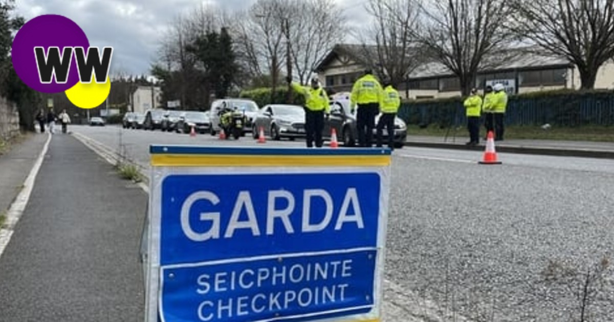 Fewer Garda checkpoints in Wexford and Wicklow as drug driving soars ...