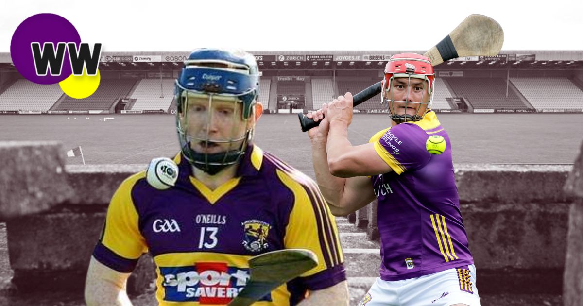 Former Wexford hurler Rory Jacob makes bold call about Lee Chin ...