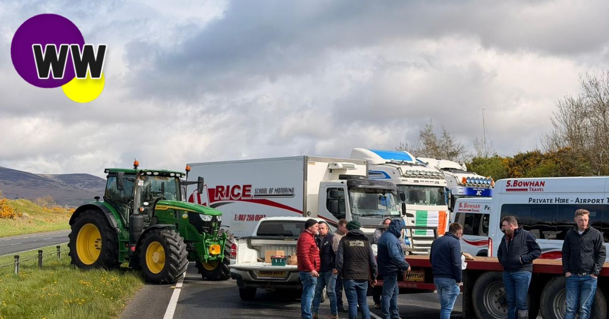 County Wexford Chamber calls for immediate end of fuel protests ...