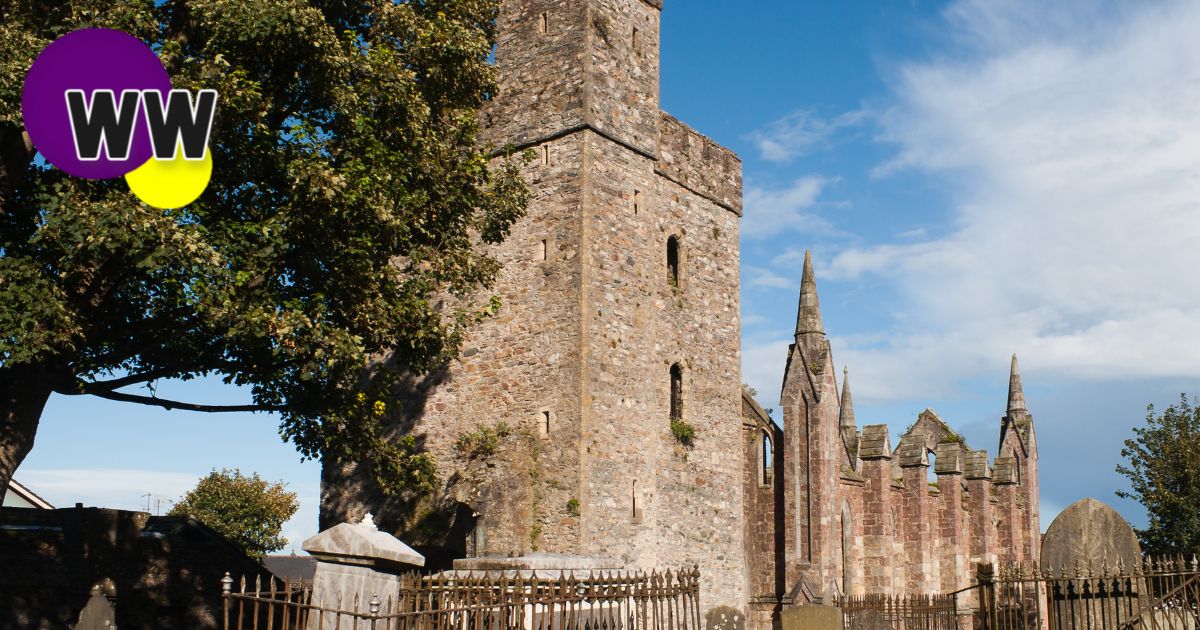 Guided tours of Wexford’s Selskar Abbey reopens to the public | Wexford ...